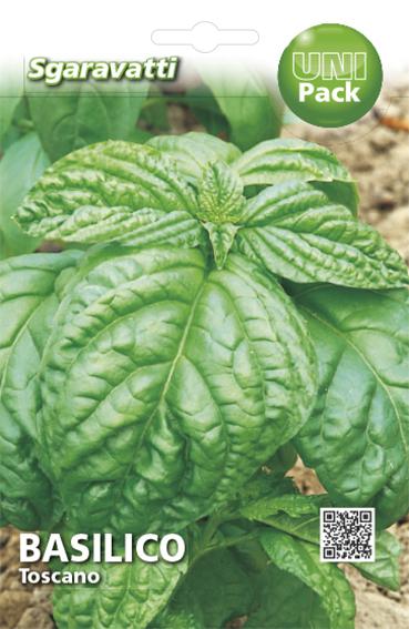 Semi di Basilico Toscano. Acquistali online – Sgaravatti Shop