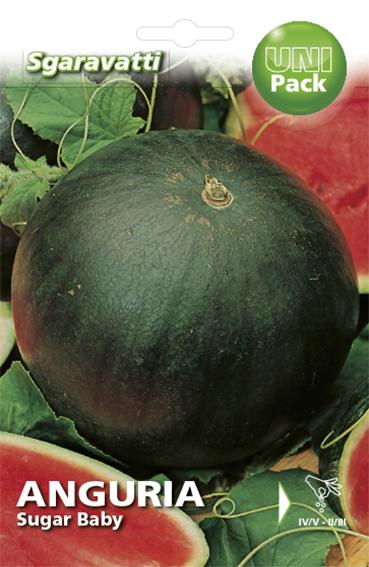 Semi di Anguria Sugar Baby. Acquistali online – Sgaravatti Shop