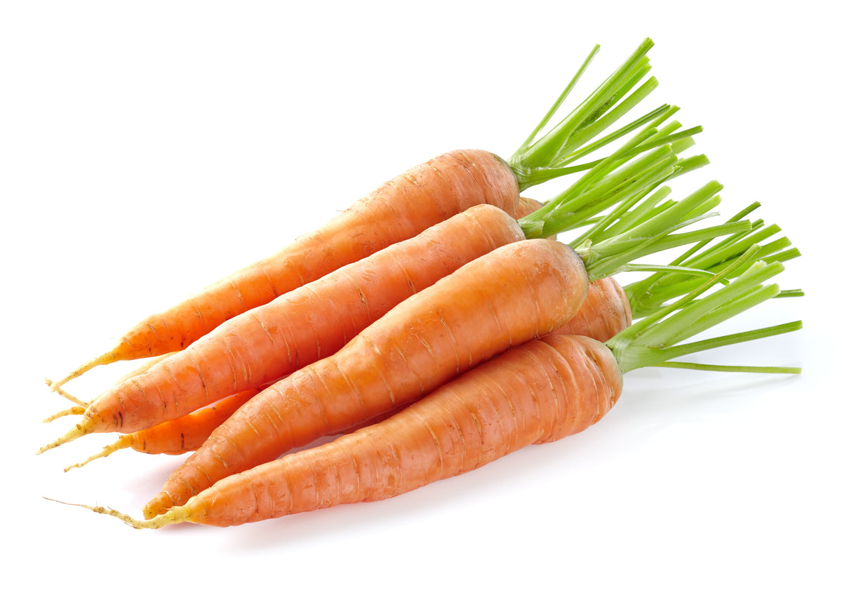 Semi di Carota Mezza Lunga Nantese 2. Acquistali online – Sgaravatti Shop